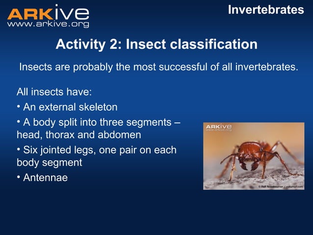 wk5-Classifying invertebrates and vertebrates.ppt