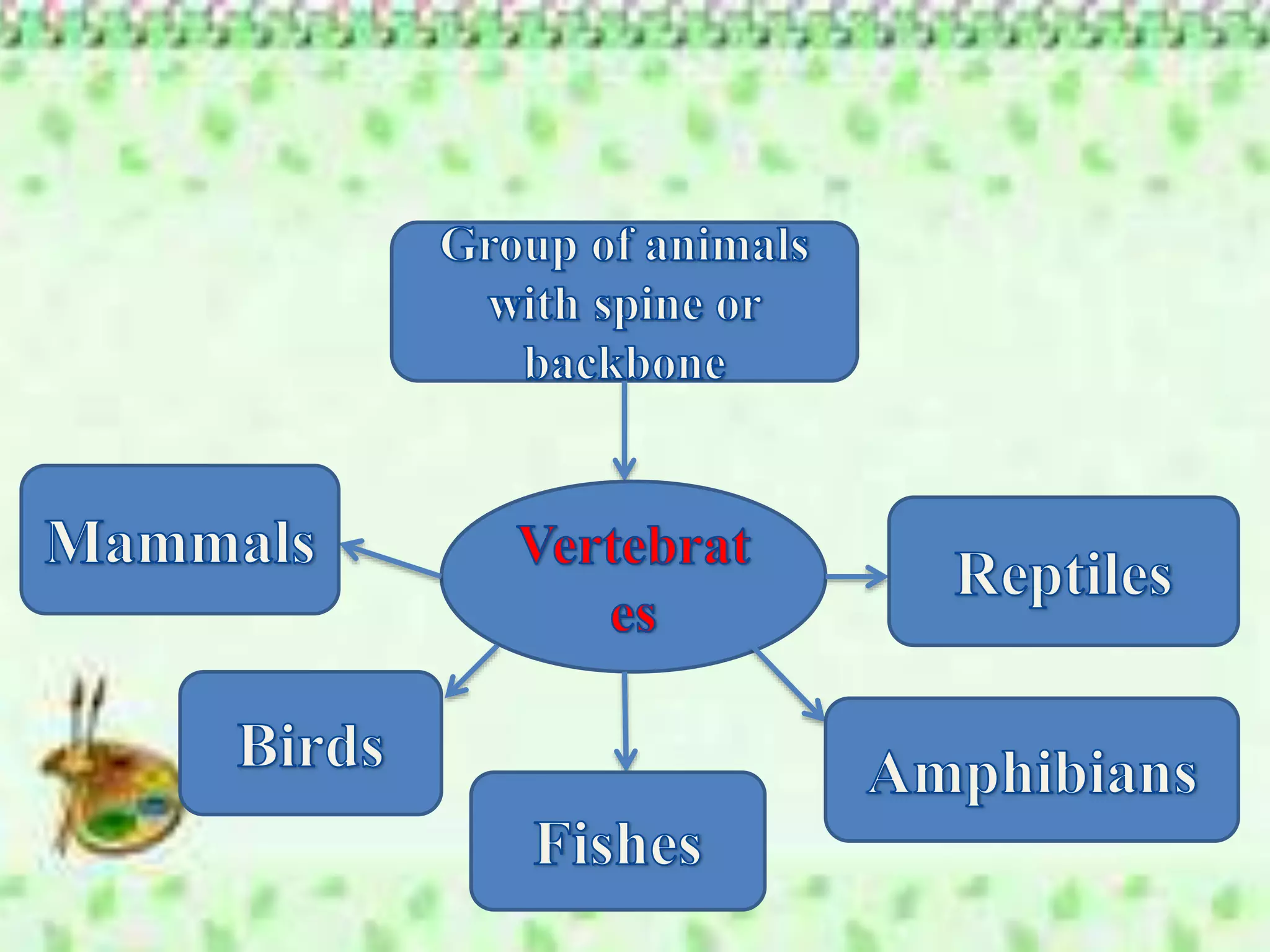 Wk5 Characteristics of Vertebrate Animals.pptx