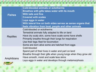 Wk5 Characteristics of Vertebrate Animals.pptx