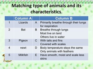 Wk5 Characteristics of Vertebrate Animals.pptx