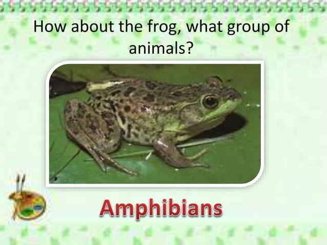 Wk5 Characteristics of Vertebrate Animals.pptx