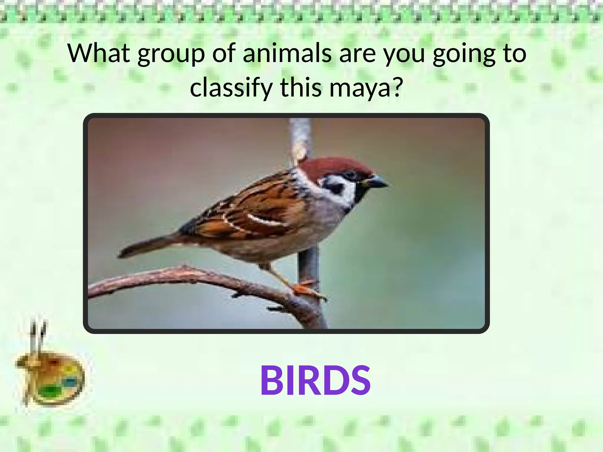 Wk5 Characteristics of Vertebrate Animals.pptx