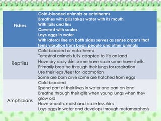 Wk5 Characteristics of Vertebrate Animals.pptx