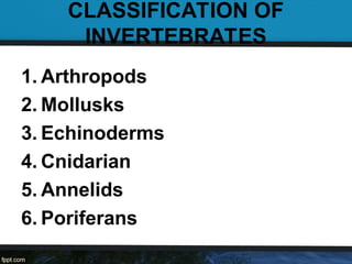 WK5 INVERTEBRATES this is all about invertebrates | PPT