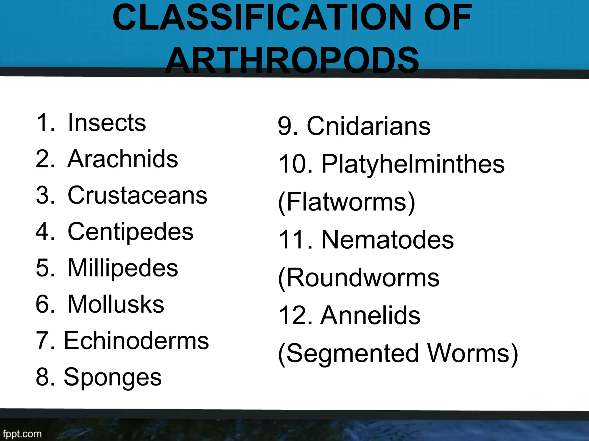 GRADE 6 QUARTER 2 WEEK5 INVERTEBRATES.ppt