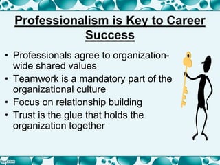 profession and it professionalism | PPT