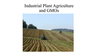 Slides: Plant Agriculture and GMOs | PPTX