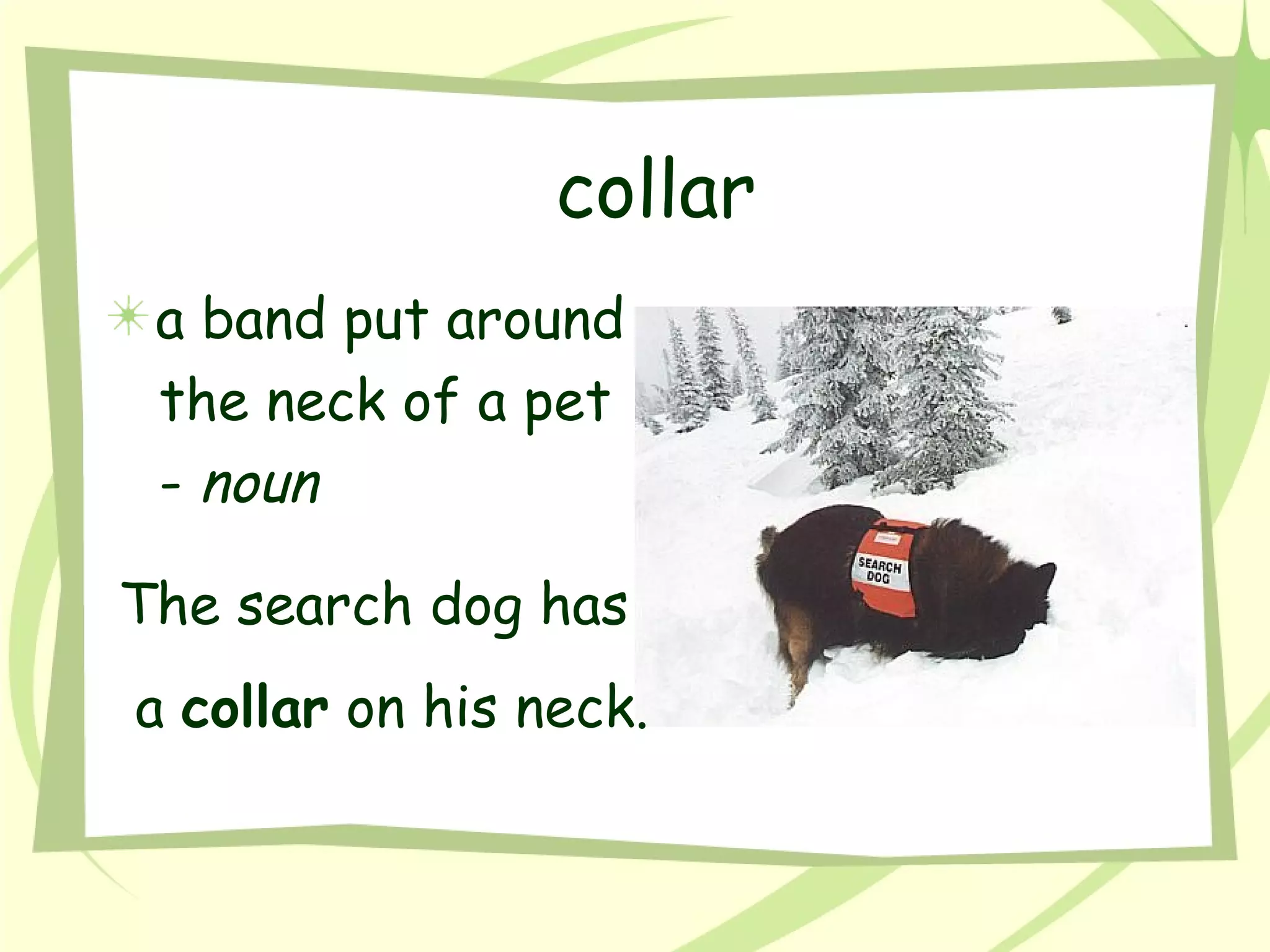 Tara and Tiree, Fearless Friends Vocabulary Words | PPT