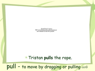 Tara and Tiree, Fearless Friends Vocabulary Words | PPT