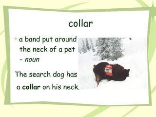 Tara and Tiree, Fearless Friends Vocabulary Words | PPT