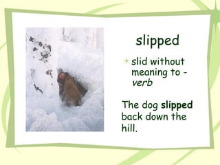 Tara and Tiree, Fearless Friends Vocabulary Words | PPT