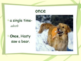 Tara and Tiree, Fearless Friends Vocabulary Words | PPT