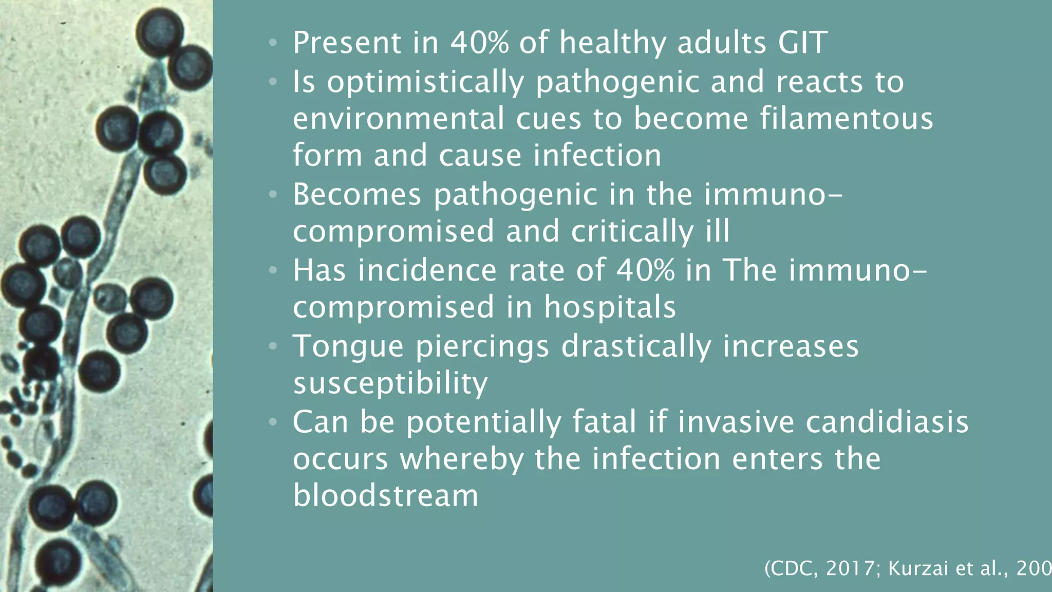 Microbial CV on Candida albicans | PPTX