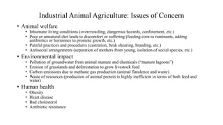 The Ethics of Eating Animals | PPT