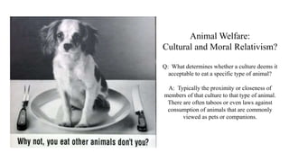 The Ethics of Eating Animals | PPTX