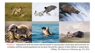 The Ethics of Eating Animals | PPTX