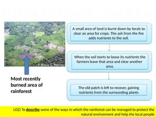 Wk9 - Explain the need to protect and conserve tropical rainforests.pptx