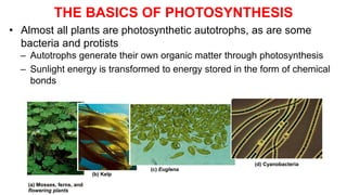 Wk 9 Photosynthesis.pptx. Basic photosynthesis explained | PPT