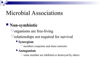 Comprehensive Overview of Bacterial Classification, Anatomy, and ...