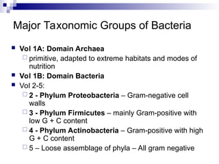 Comprehensive Overview of Bacterial Classification, Anatomy, and ...