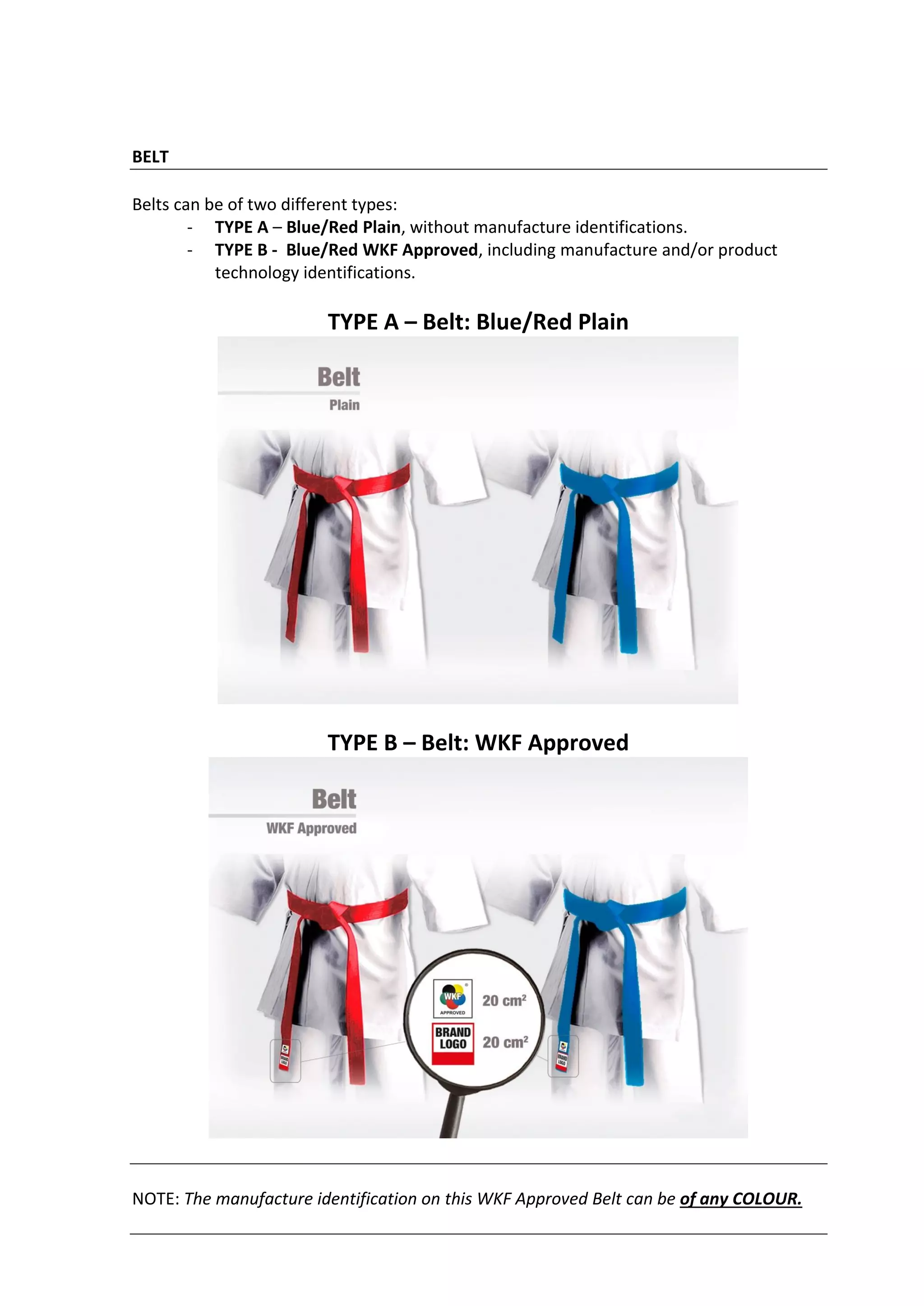 Wkf guidelines graphic_summary_n_fs | PDF