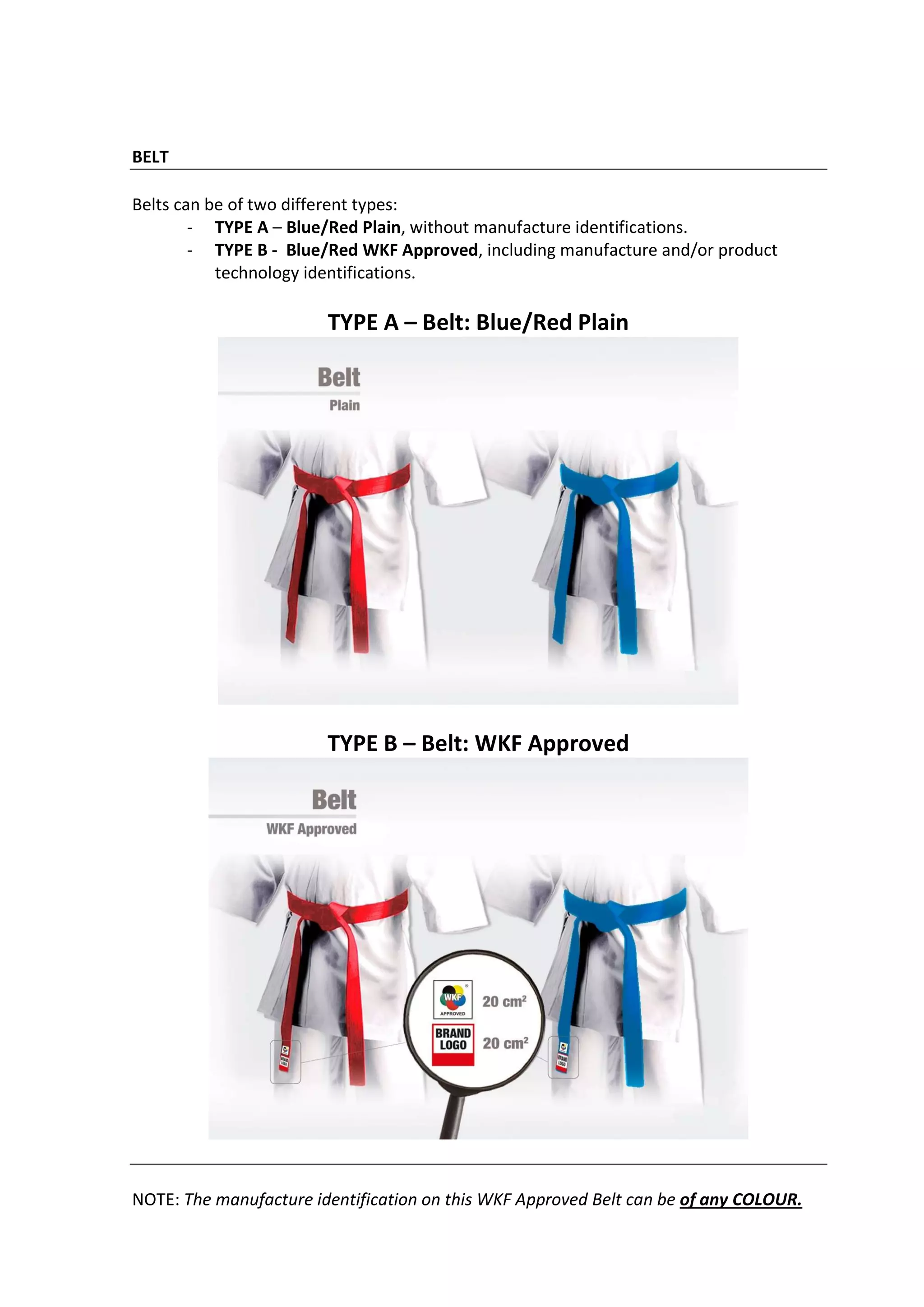 Wkf guidelines graphic_summary_n_fs | PDF