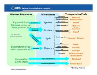 NREL Biomass and Biofuels Experience | PDF | Chemistry | Science