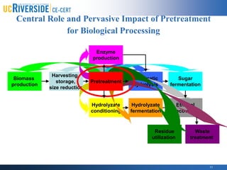 Progress and Outlook for Low Cost Pretreatment of Cellulosic Biomass ...