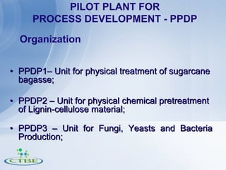 Pilot Plant for Process Development - PPDP | PDF