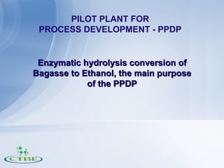 Pilot Plant for Process Development - PPDP | PDF