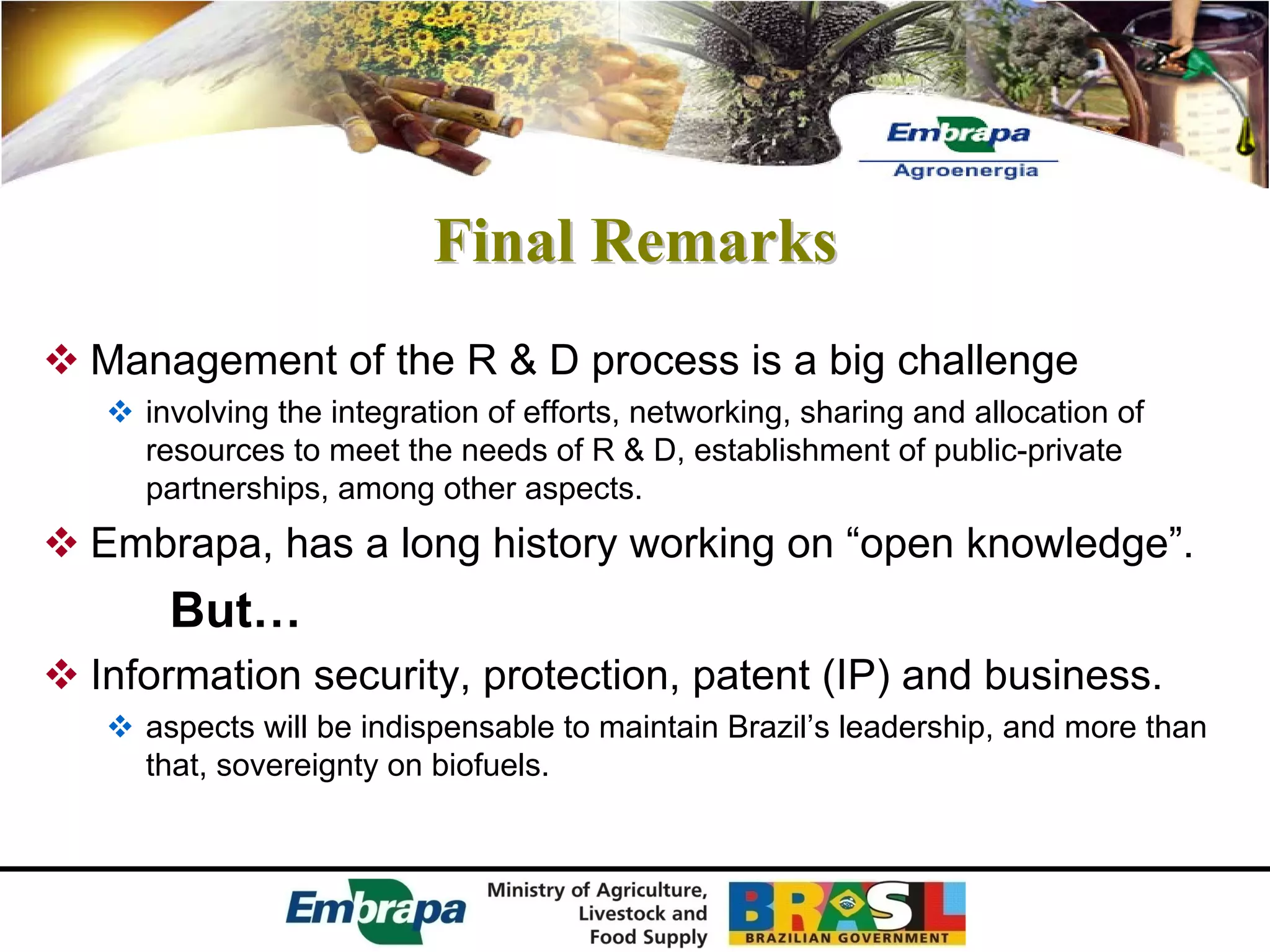 Embrapa´s Strategy for Improvement of Bioethanol Production | PDF