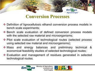 Embrapa´s Strategy for Improvement of Bioethanol Production | PDF