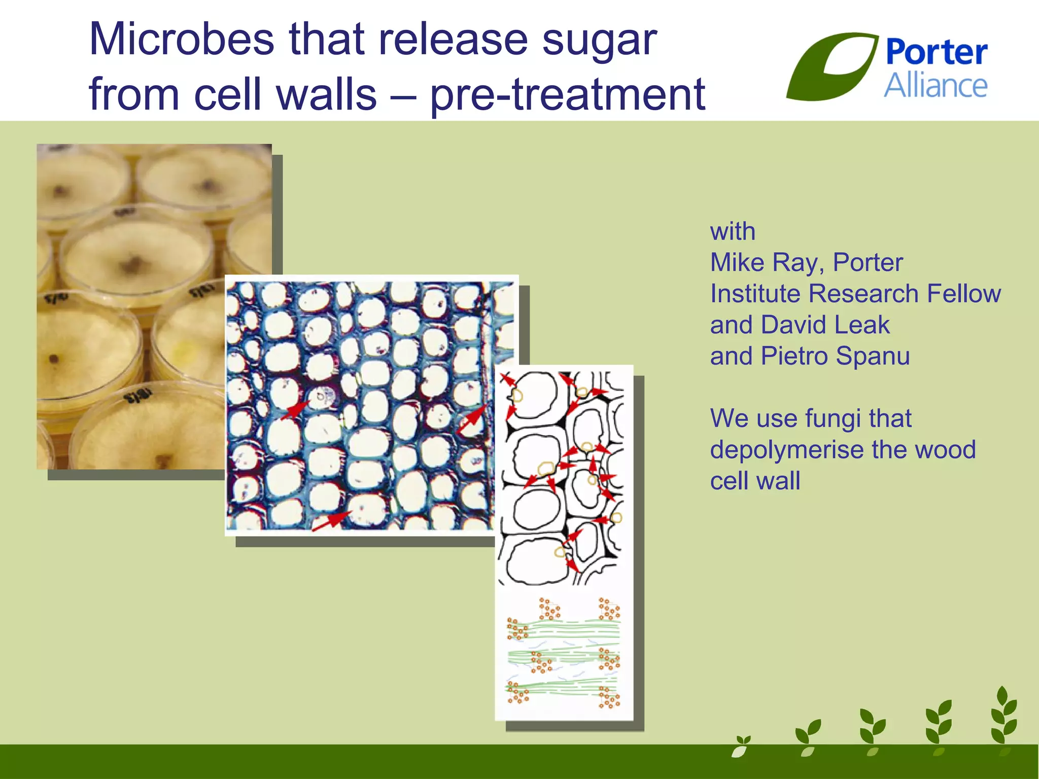 Biofuels and Biomaterial Research in the Porter Alliance | PDF