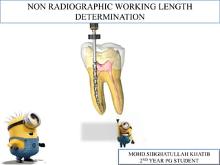 Working length | PPTX