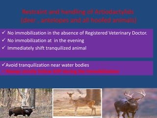 Restrain and Immobilization of wildlife | PPTX