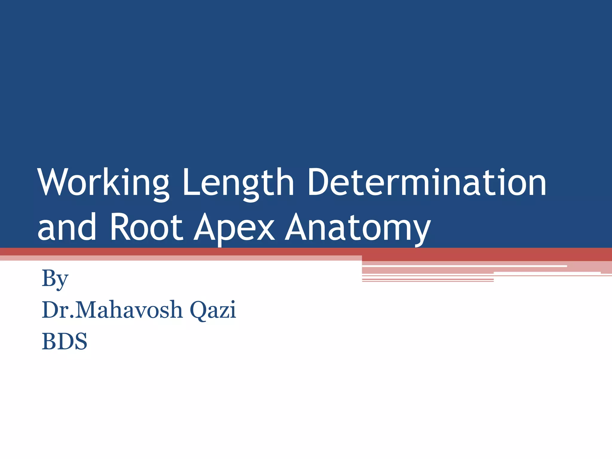 Wl determination & anatomy of the root apex | PPTX