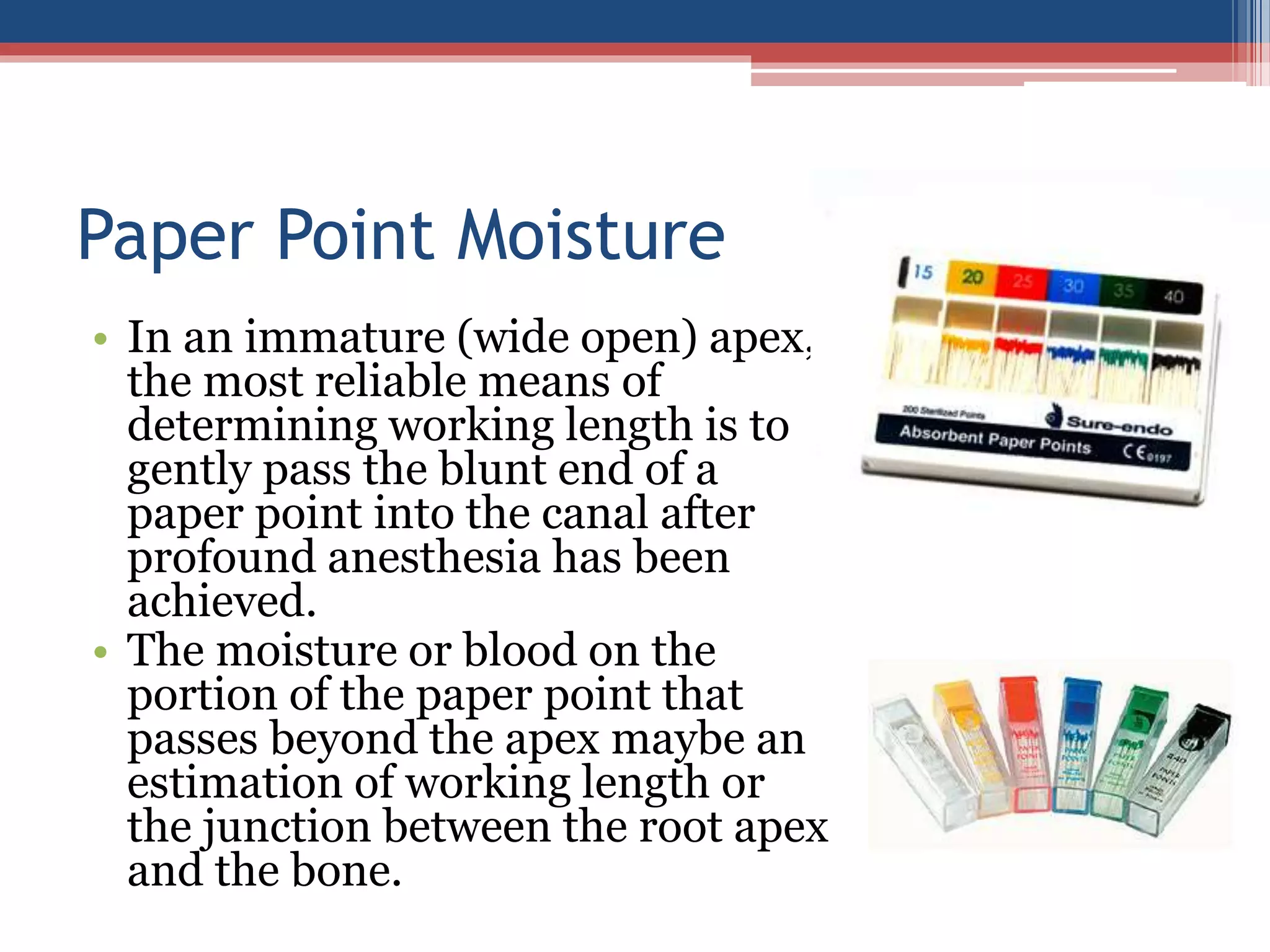 Wl determination & anatomy of the root apex | PPTX