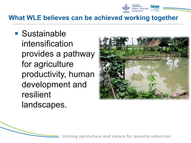 Water Land and Ecosystems (WLE): Building upon the success of the CPWF ...