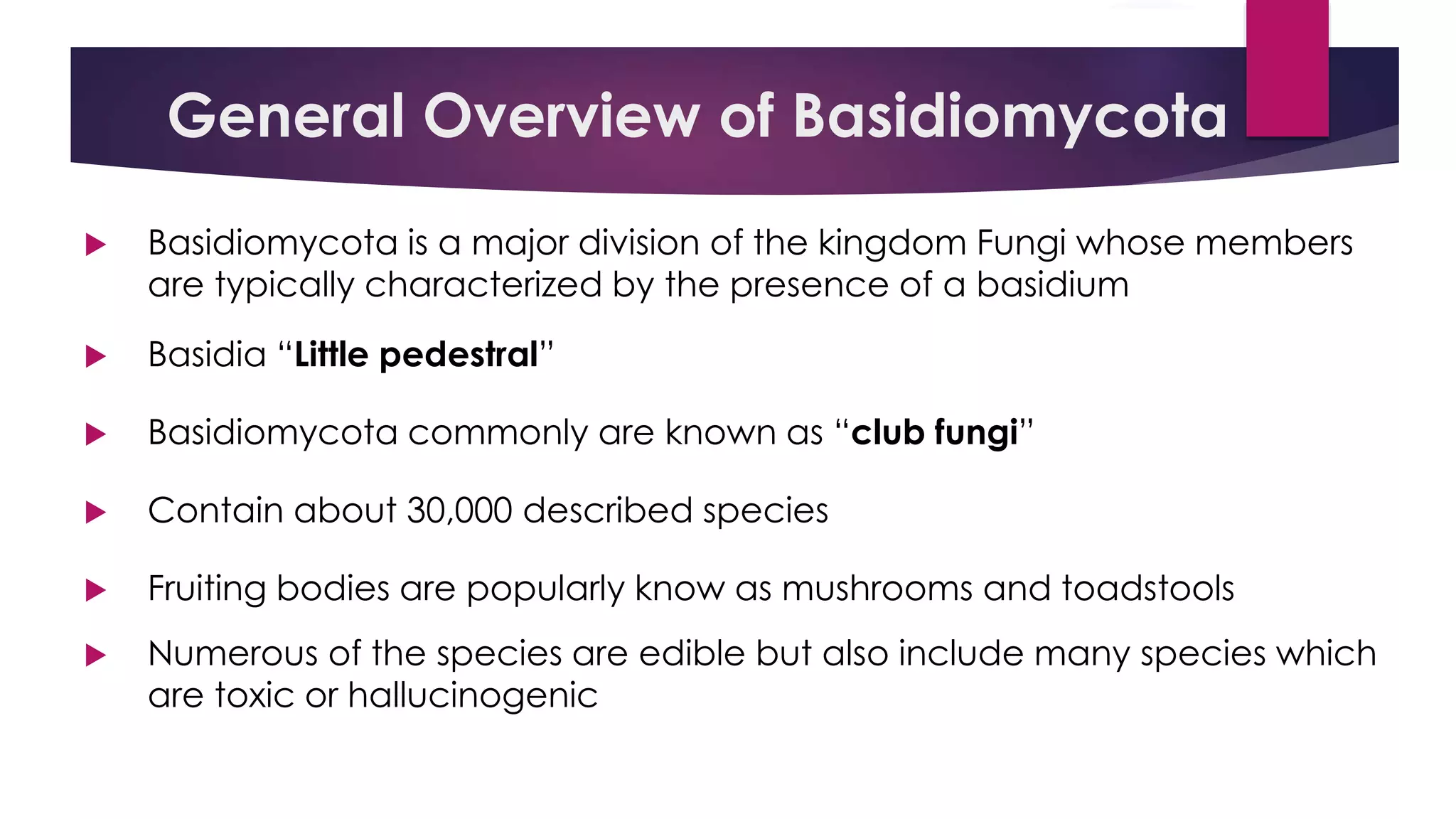 Phylum Basidiomycota & Fungi Association with Other Organisms | PPTX