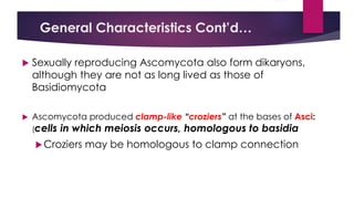 Phylum Basidiomycota & Fungi Association with Other Organisms | PPTX