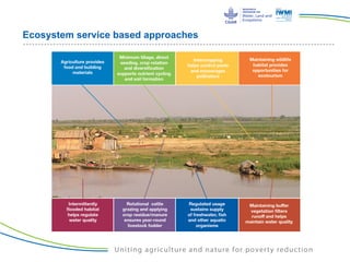 Ecosystem Services and Resilience Framework (ESR) | PDF