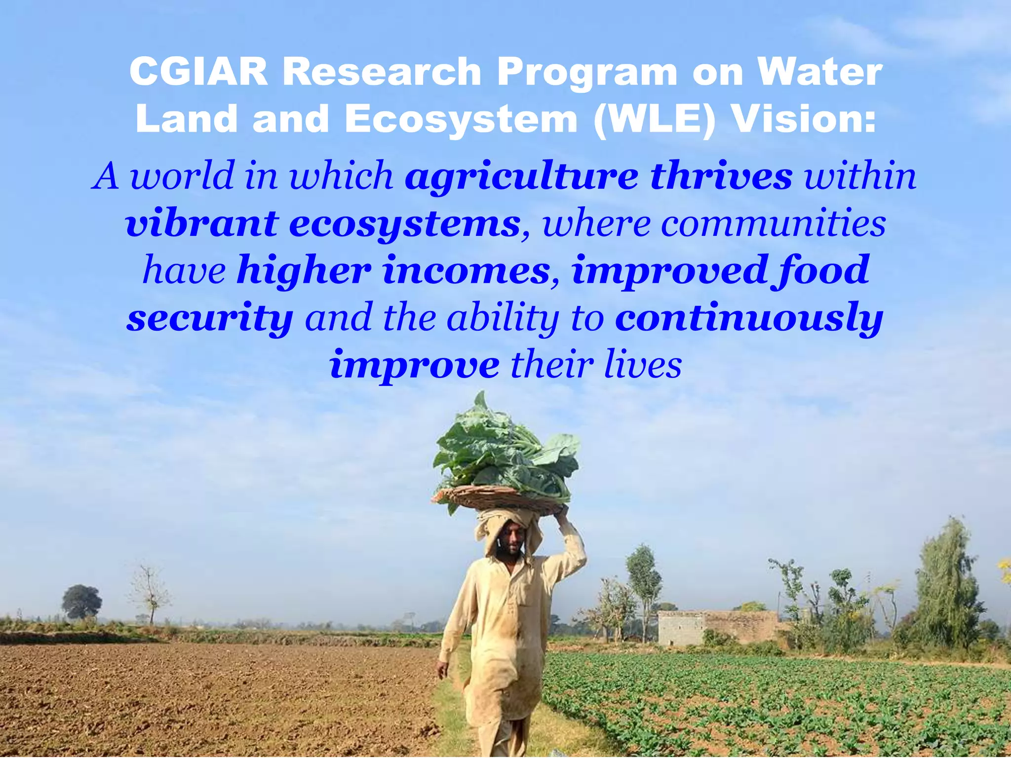 Building a better future: Sustainable (and Resilient) intensification ...