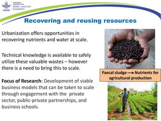 Building a better future: Sustainable (and Resilient) intensification ...