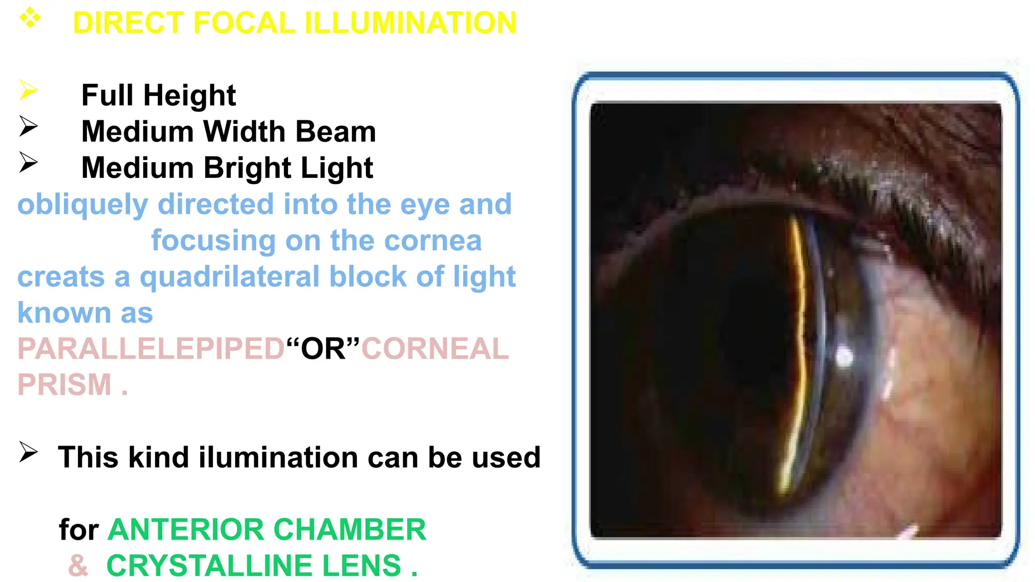 Examinations of Anterior Segment of the Eye and Protocols during ...