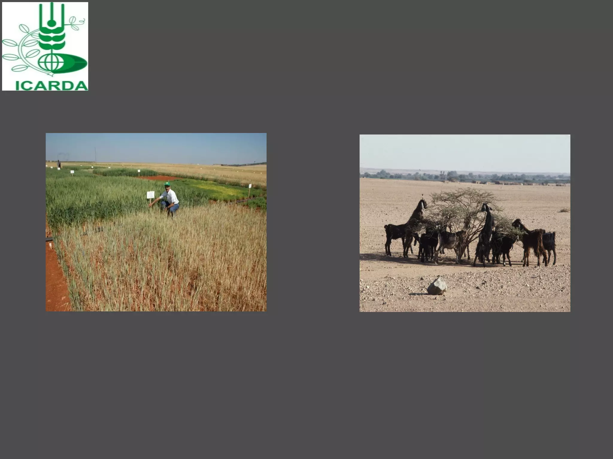 T5: Introduction / Framing discussion | PPT