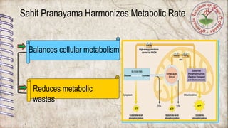 10. metabolism and pranayama | PPTX