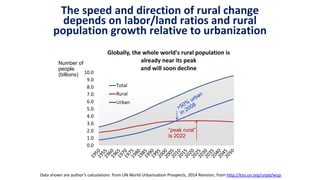 Rural transformation and nutrition transition: Same pathways, different ...