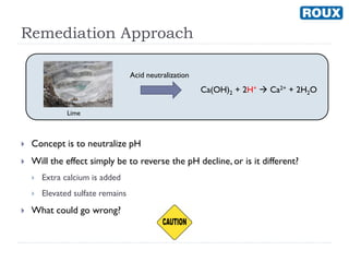 Modeling Heavy Metals in Groundwater | PDF