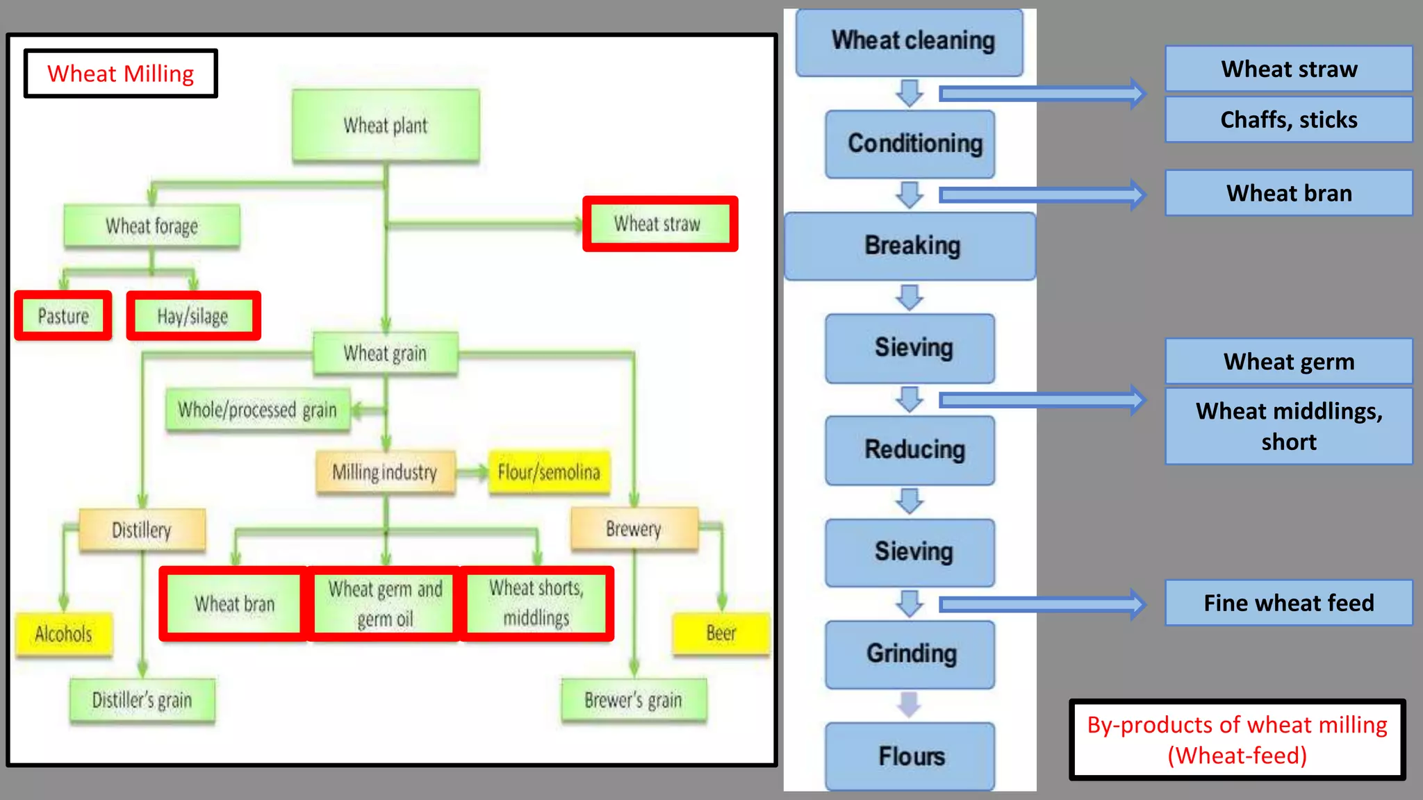 By-products utilization in wheat and pulses milling | PPT