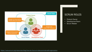 Problem Solving Paradigms in Software Development | PDF